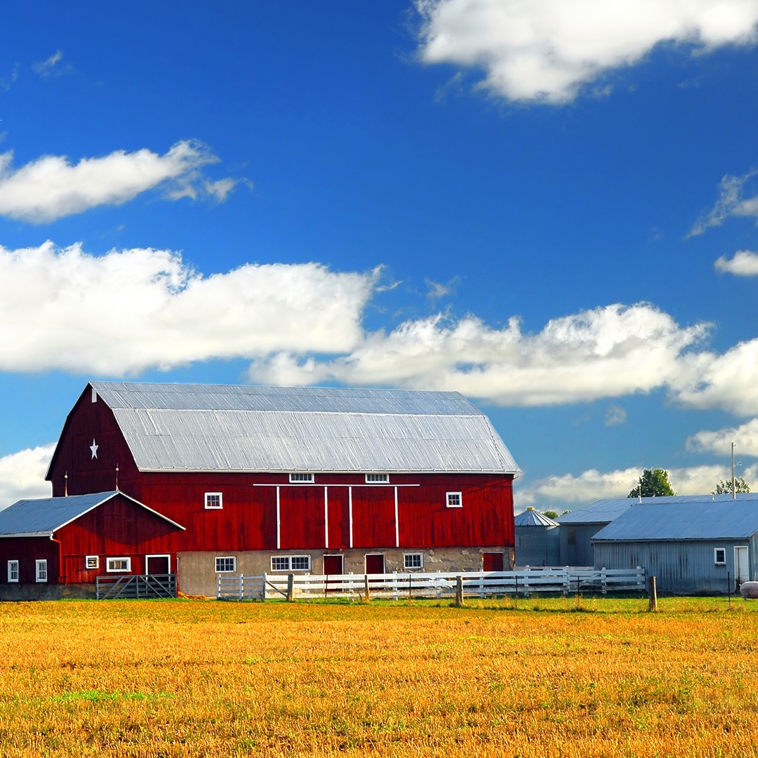Burglar Systems in Barns - Security Five
