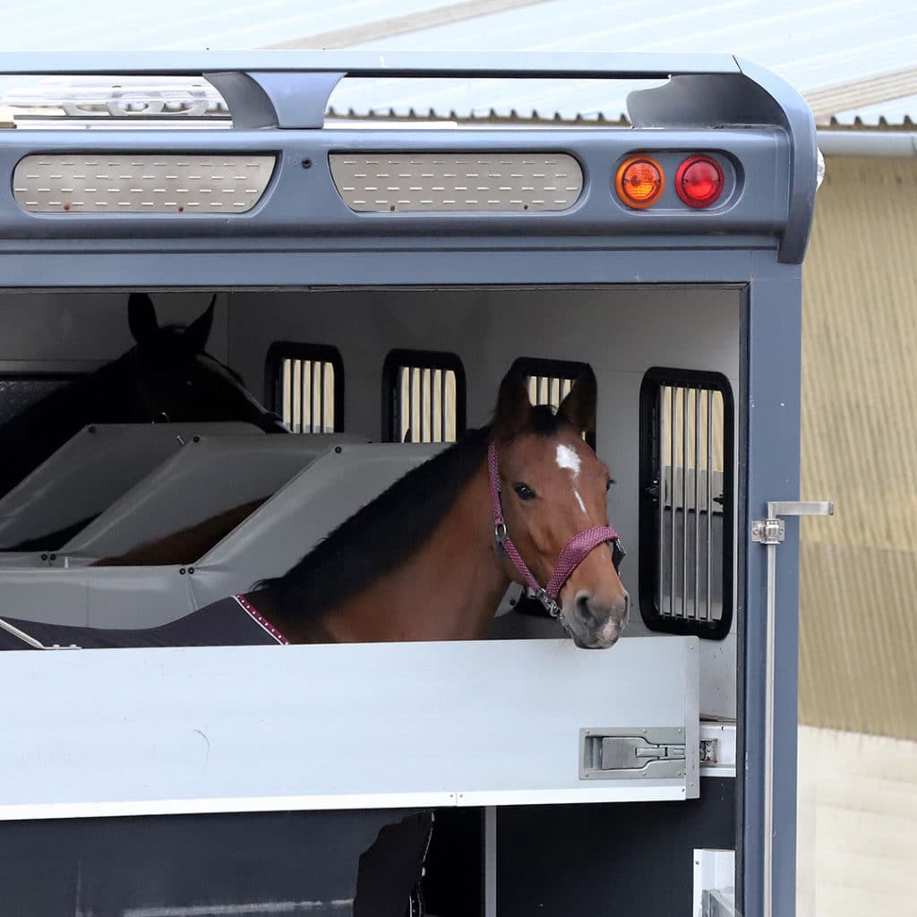 Mobile Equine Monitoring Devices - Security Five